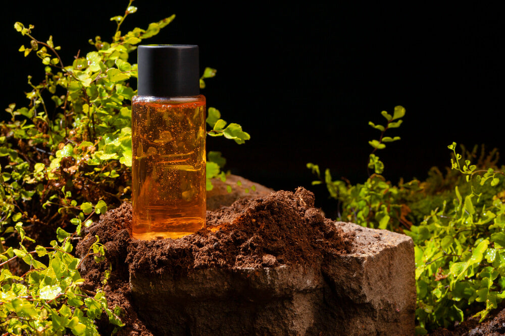 Fall Niche Fragrances 2025 | Scentrique Perfumes